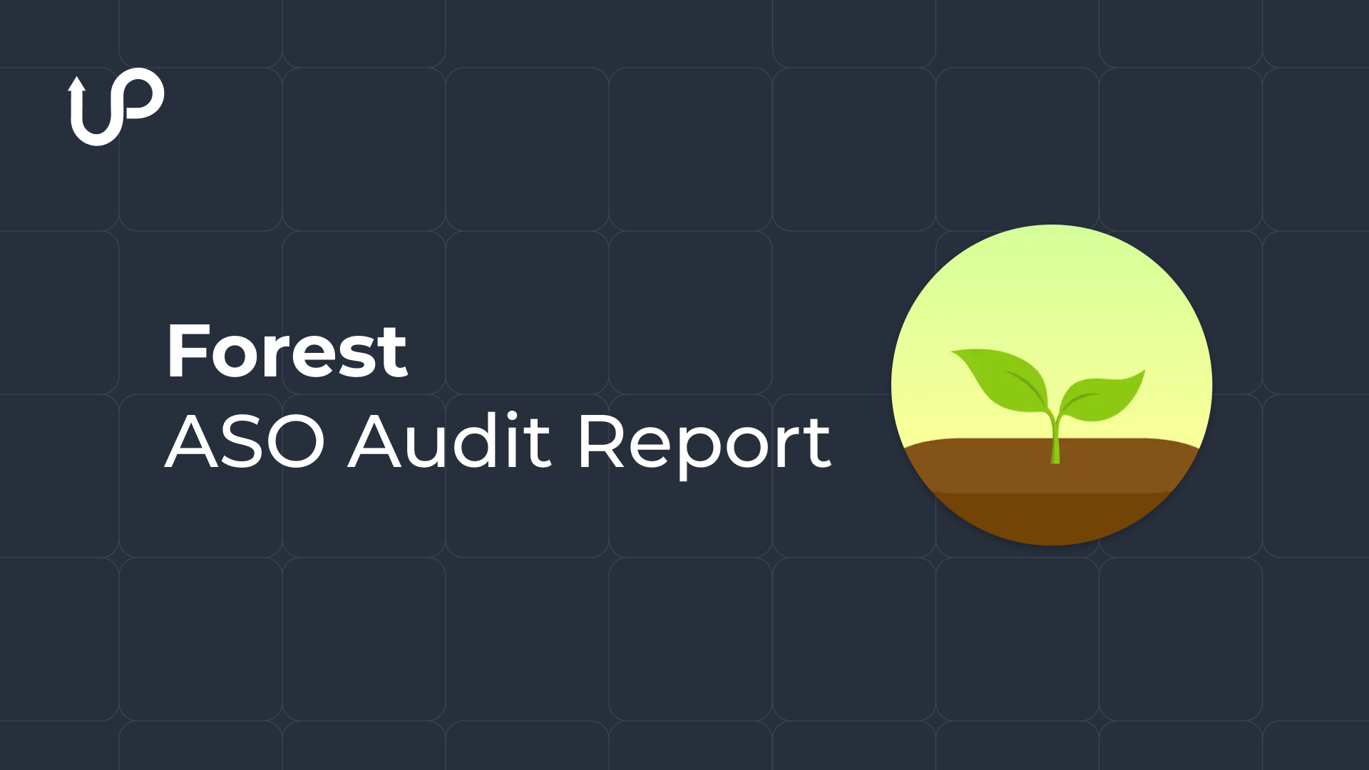 Forest ASO Audit Report - ShyftUp